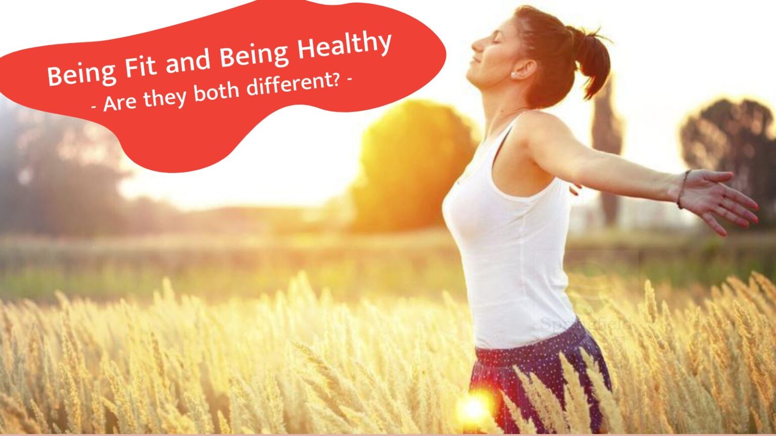Being Fit and Being Healthy | How are they both different?